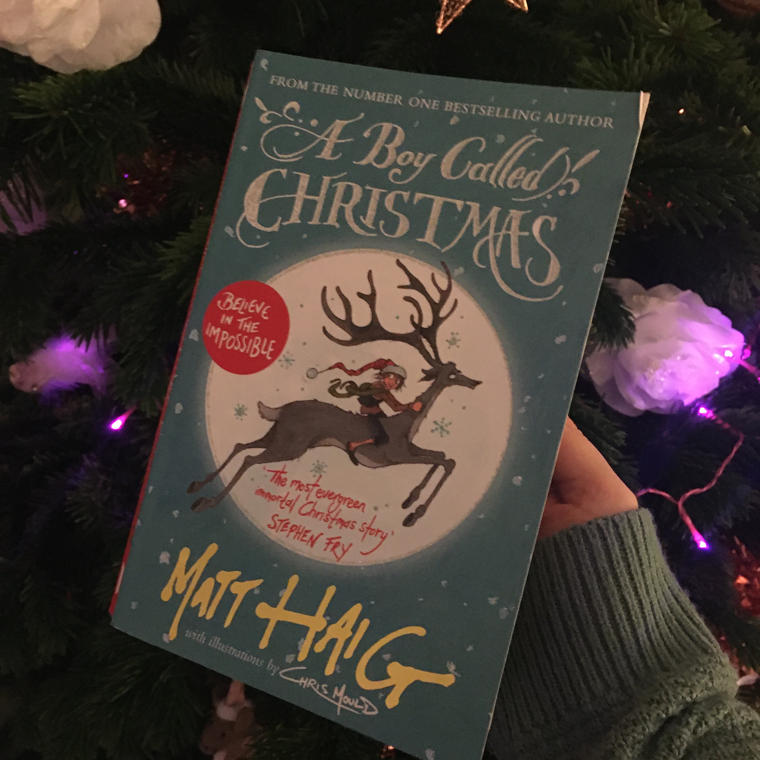 131. A Boy Called Christmas by Matt Haig – At the End of the World is a ...