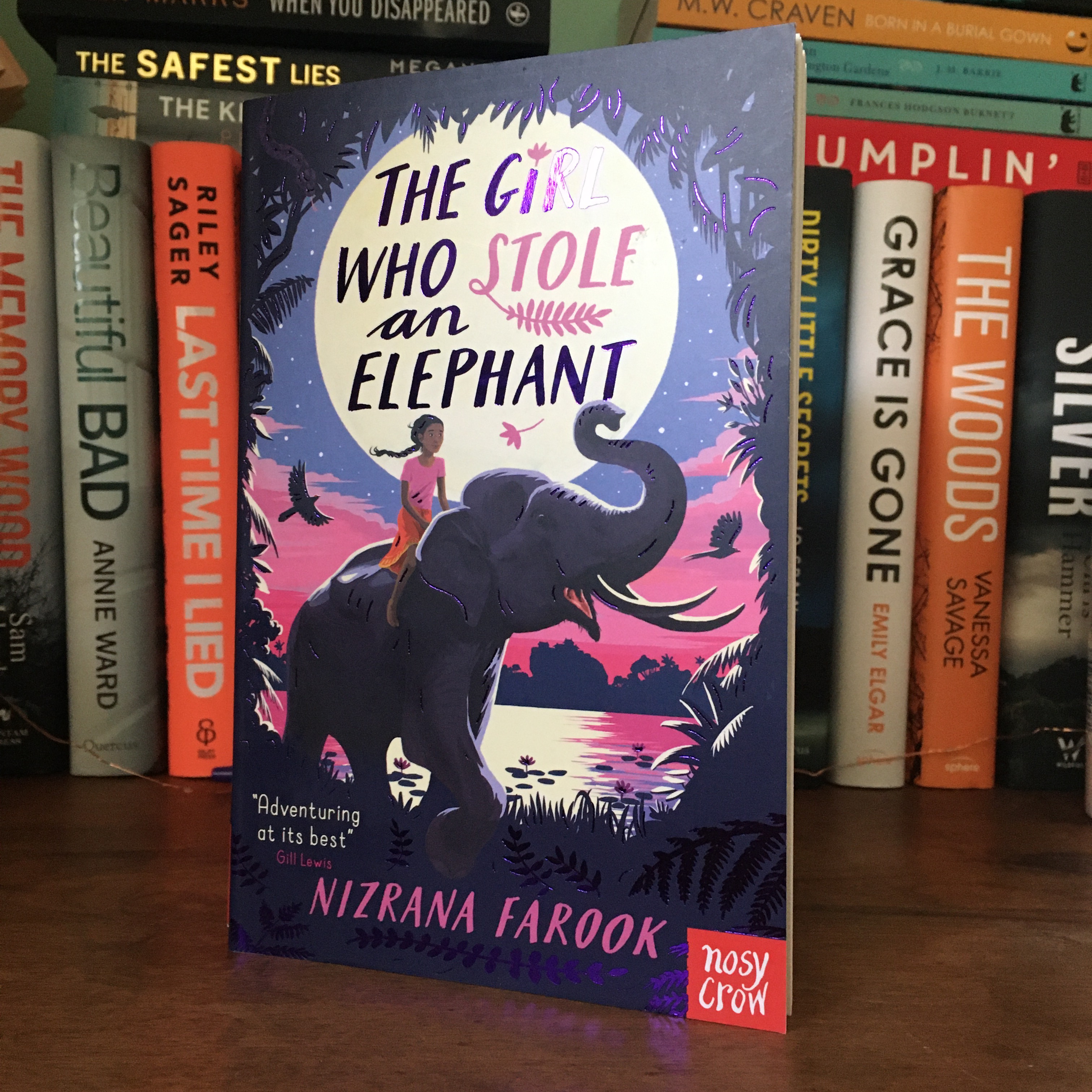 #23 The Girl Who Stole an Elephant by Nizrana Farook – At the End of ...